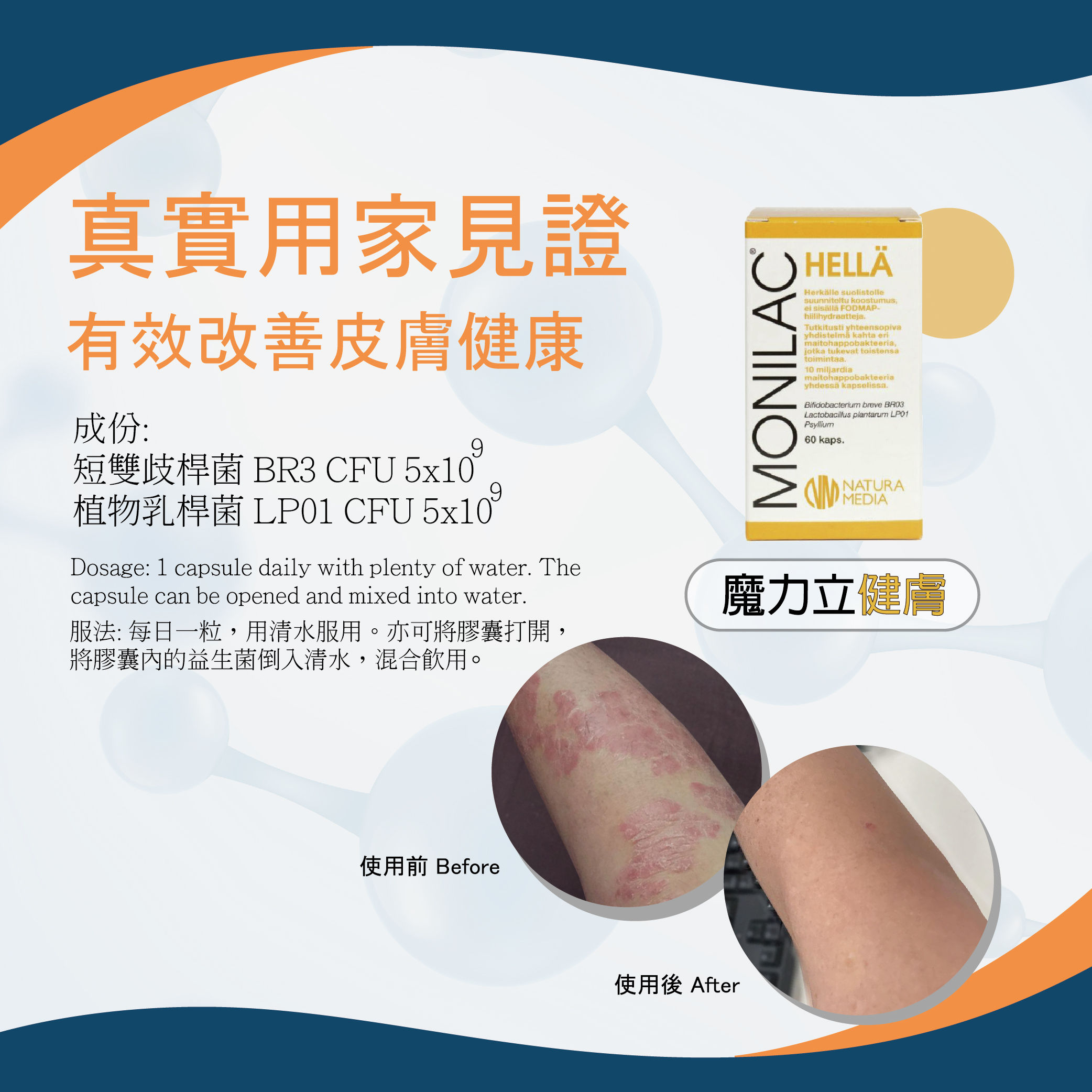 On Lok Development LTD 安樂發展有限公司 | 首頁