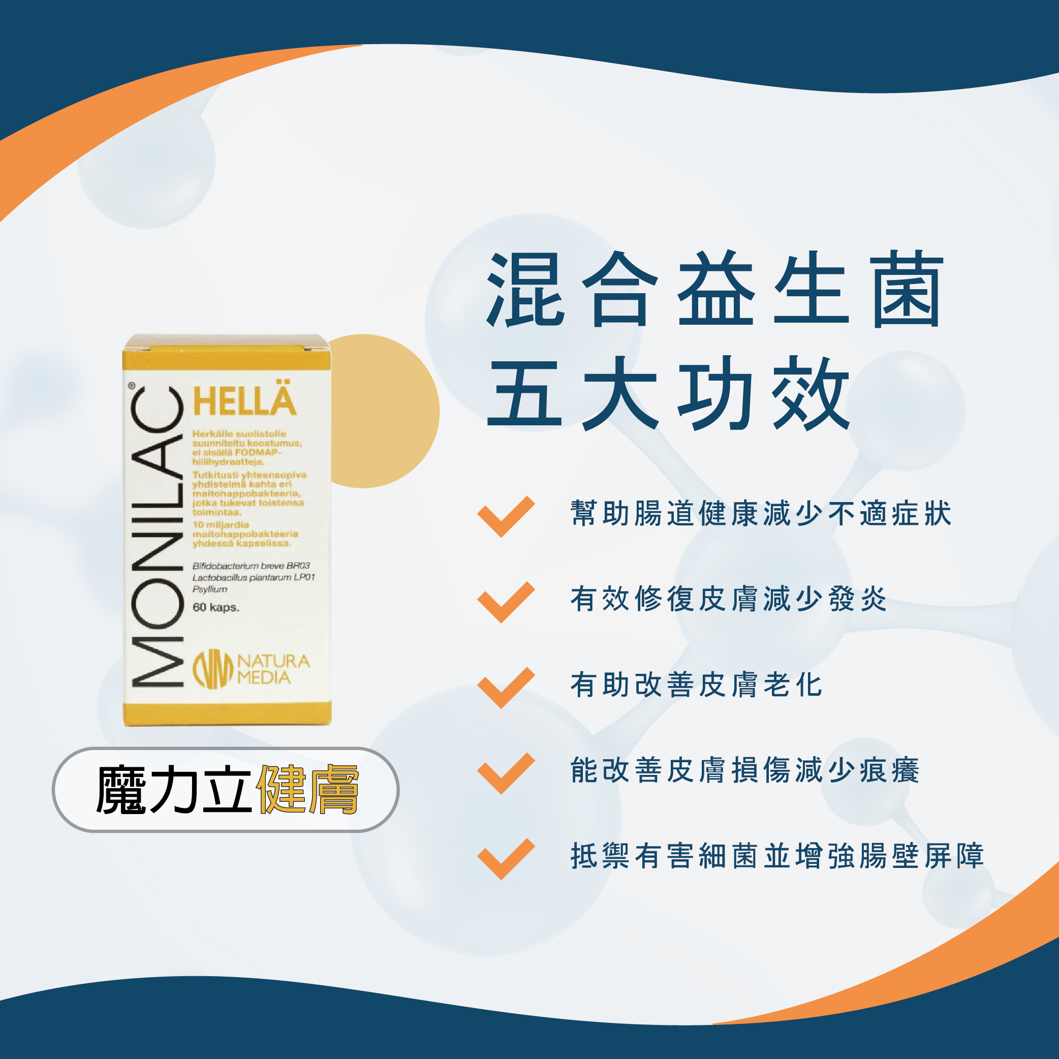 On Lok Development LTD 安樂發展有限公司 | 首頁