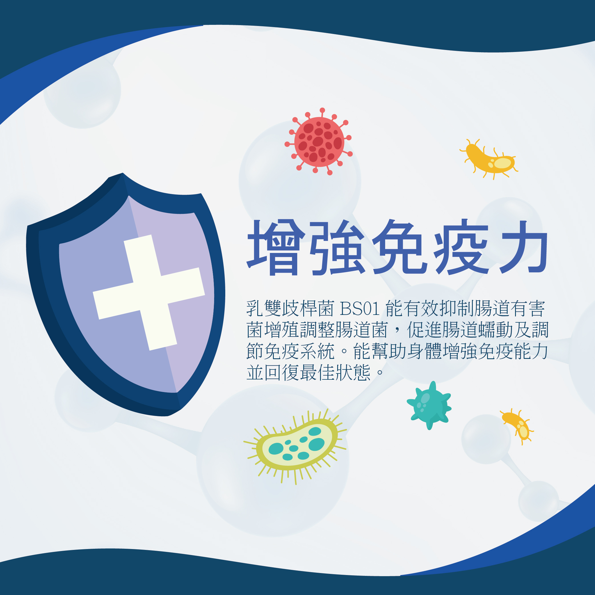 On Lok Development LTD 安樂發展有限公司 | 首頁