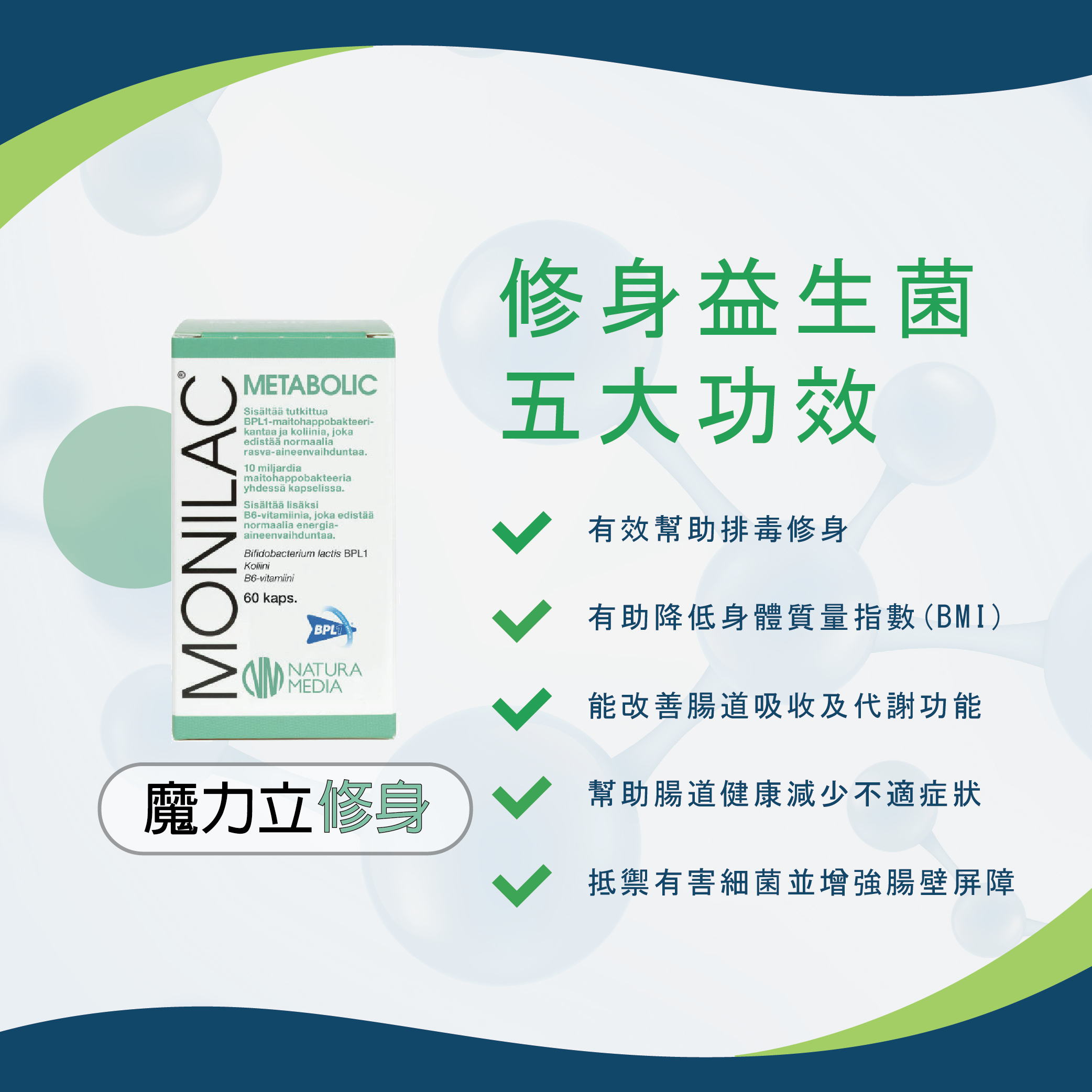 On Lok Development LTD 安樂發展有限公司 | 首頁